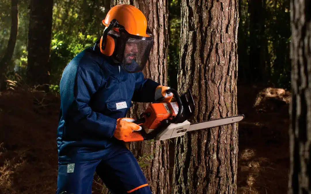 O QUE É A NR 31 E PORQUE SUA EMPRESA PRECISA SABER SOBRE ELA - Tecmater